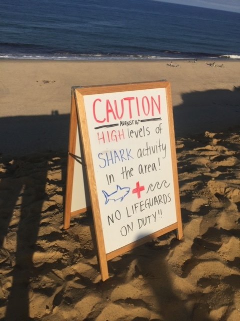 Gallery - Cape Cod Ocean Community