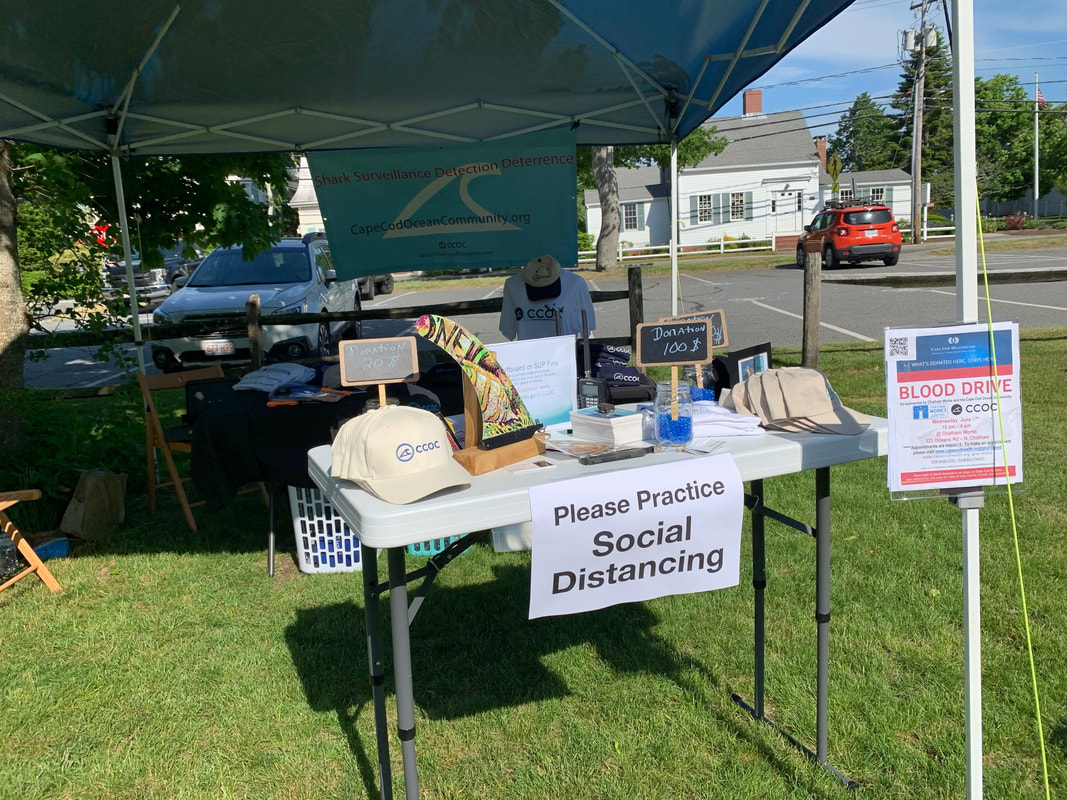 Gallery - Cape Cod Ocean Community