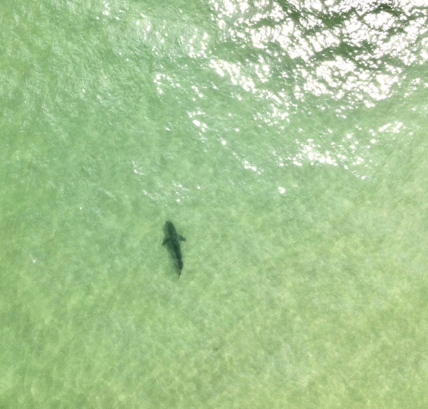 Events - Cape Cod Ocean Community